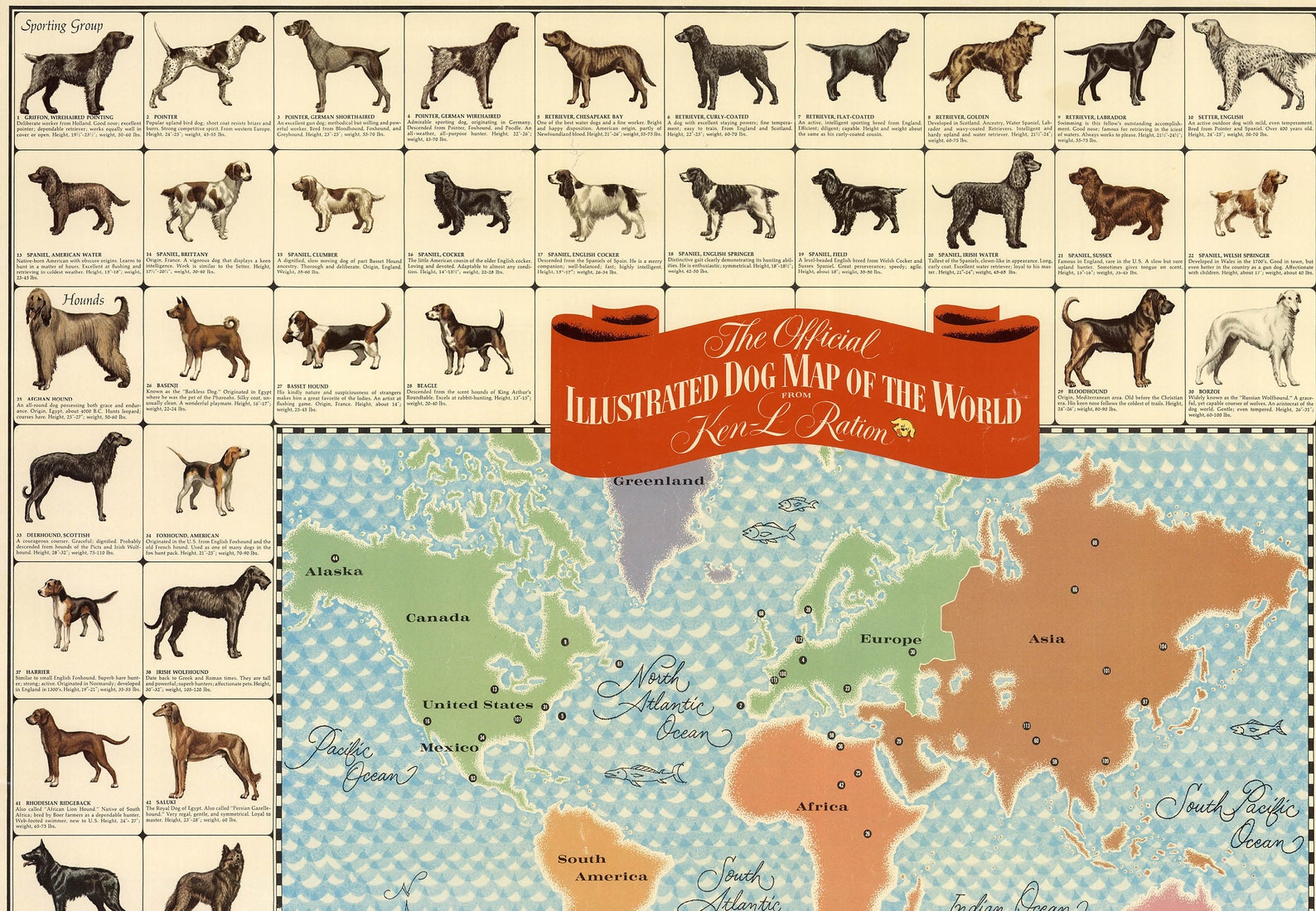 The Official Illustrated Dog Map of the World - Etsy