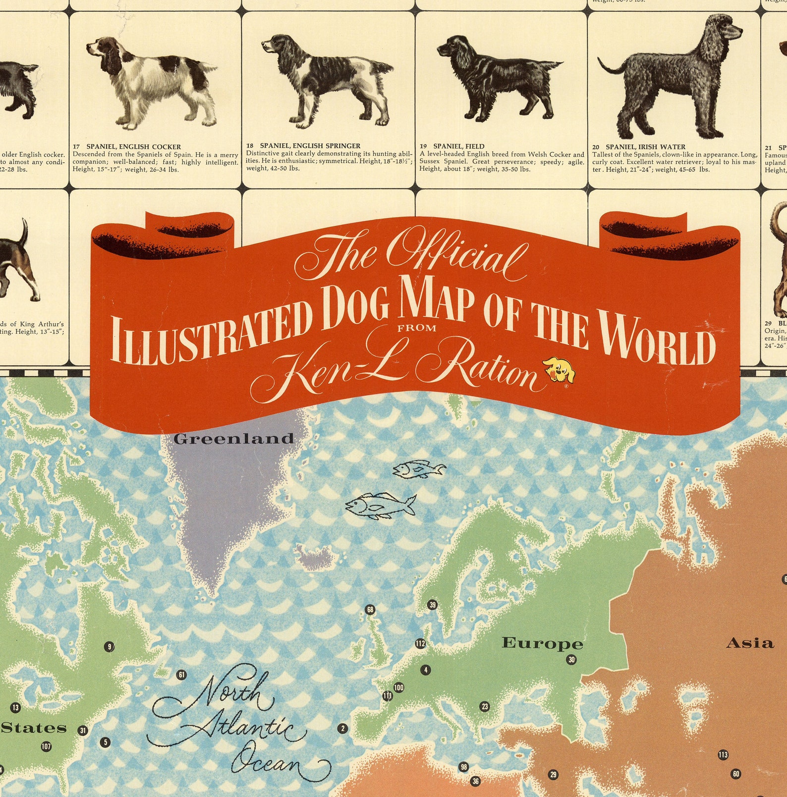 The Official Illustrated Dog Map of the World - Etsy