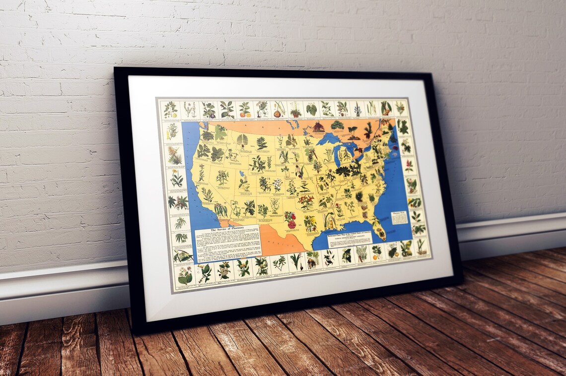 Medicinal Plant Map of the United States of America Historic | Etsy
