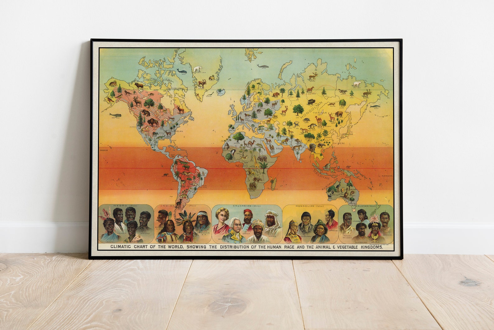 Climatic Chart of the World, Showing the Distribution of the Human Race ...