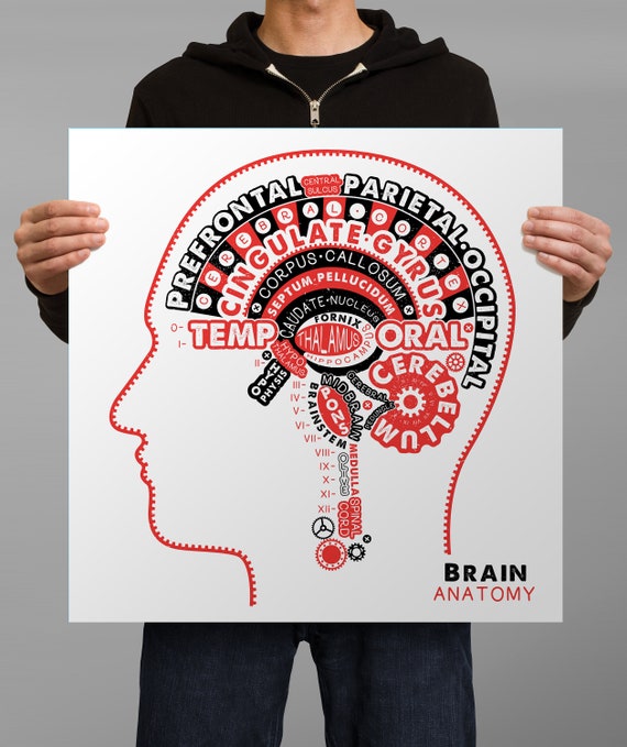 Brain Illustration Typography