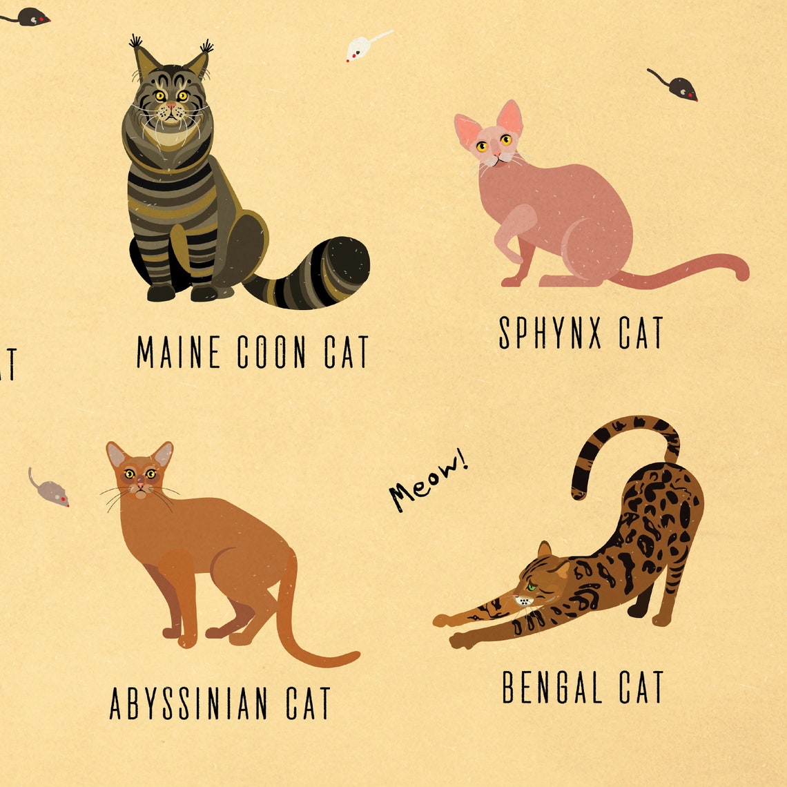 Cat Breeds Illustration Kinds of Cat Poster / Cat Decor / | Etsy