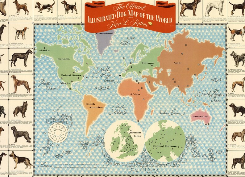 The Official Illustrated Dog Map of the World - Etsy