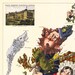 Comical Map of Scotland Philp's Comic Map of Scotland - Etsy