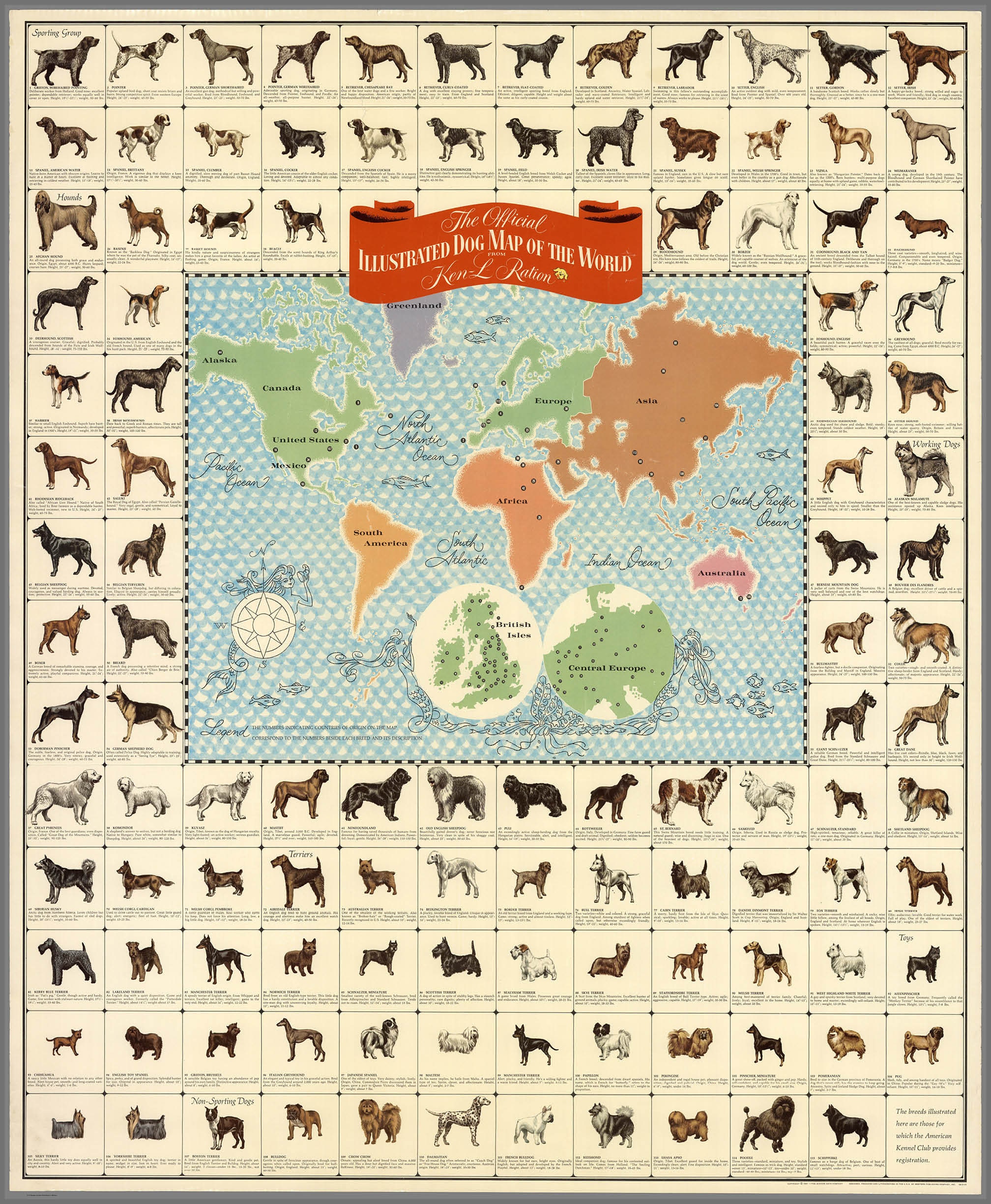 The Official Illustrated Dog Map of the World - Etsy