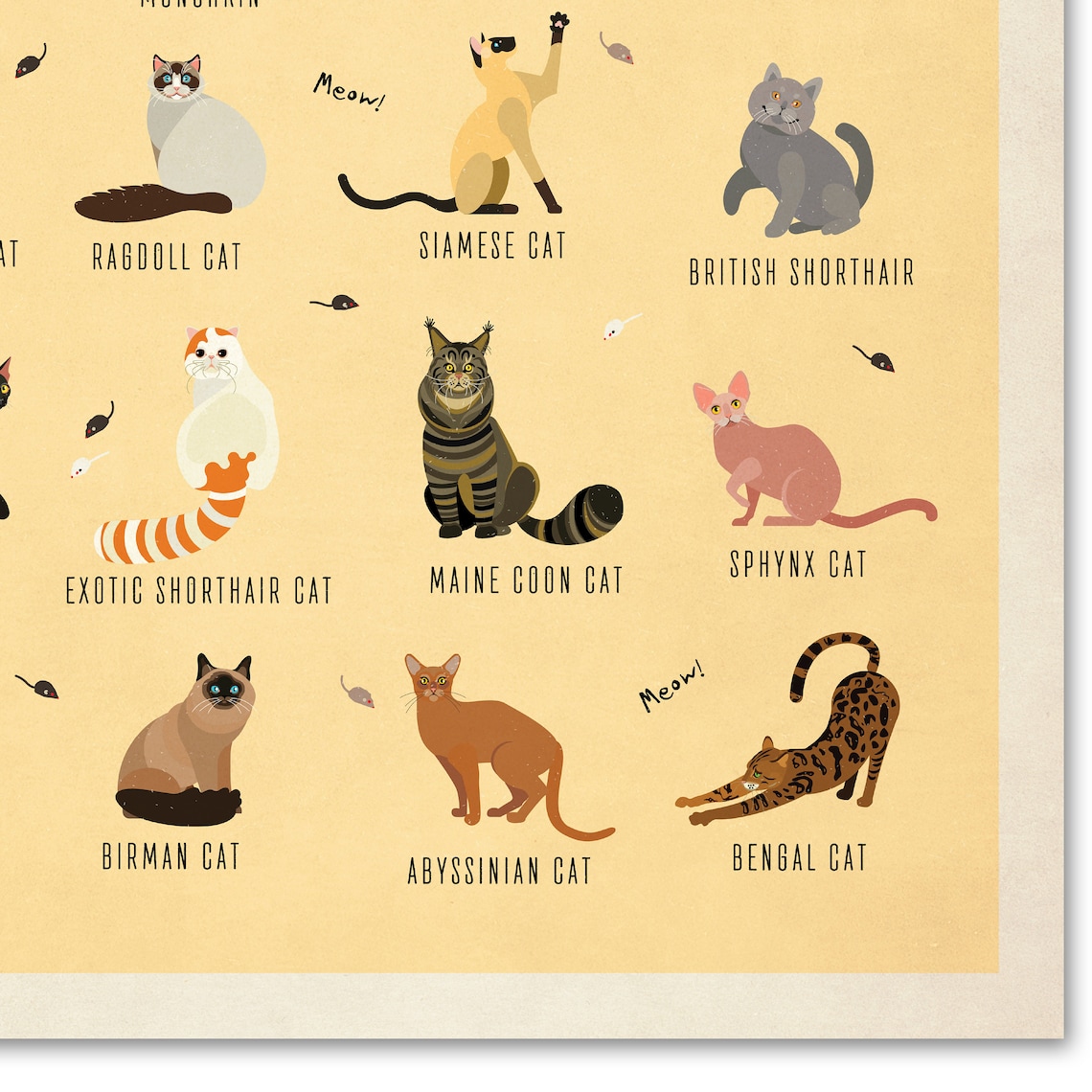 Cat Breeds Illustration Kinds of Cat Poster / Cat Decor / | Etsy
