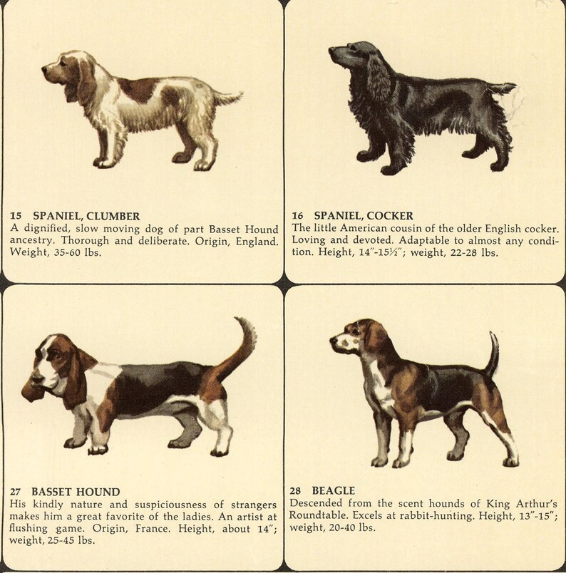 The Official Illustrated Dog Map of the World - Etsy