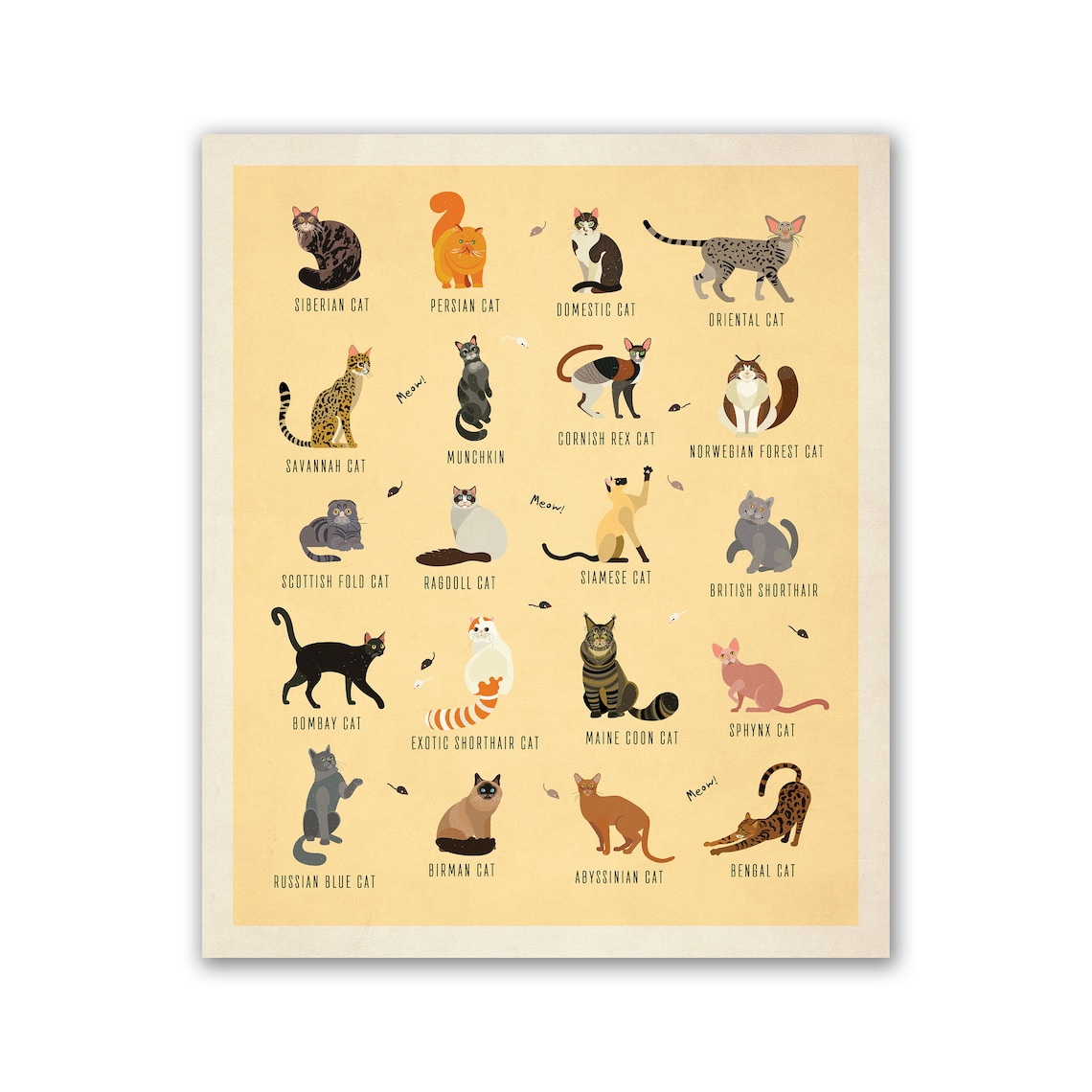 Cat Breeds Illustration Kinds of Cat Poster / Cat Decor / - Etsy