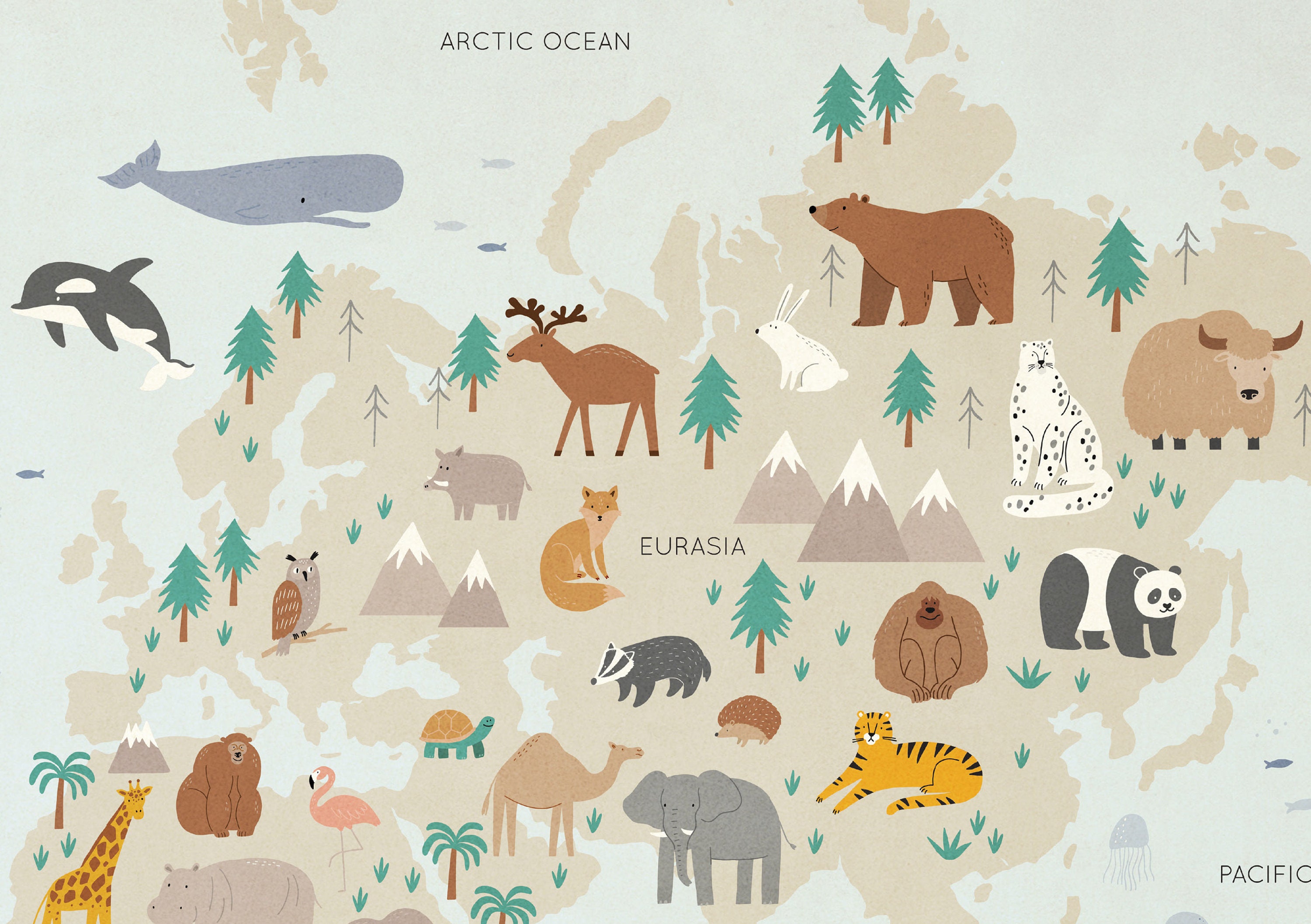 Animal Map of the World Children's Map Child's | Etsy