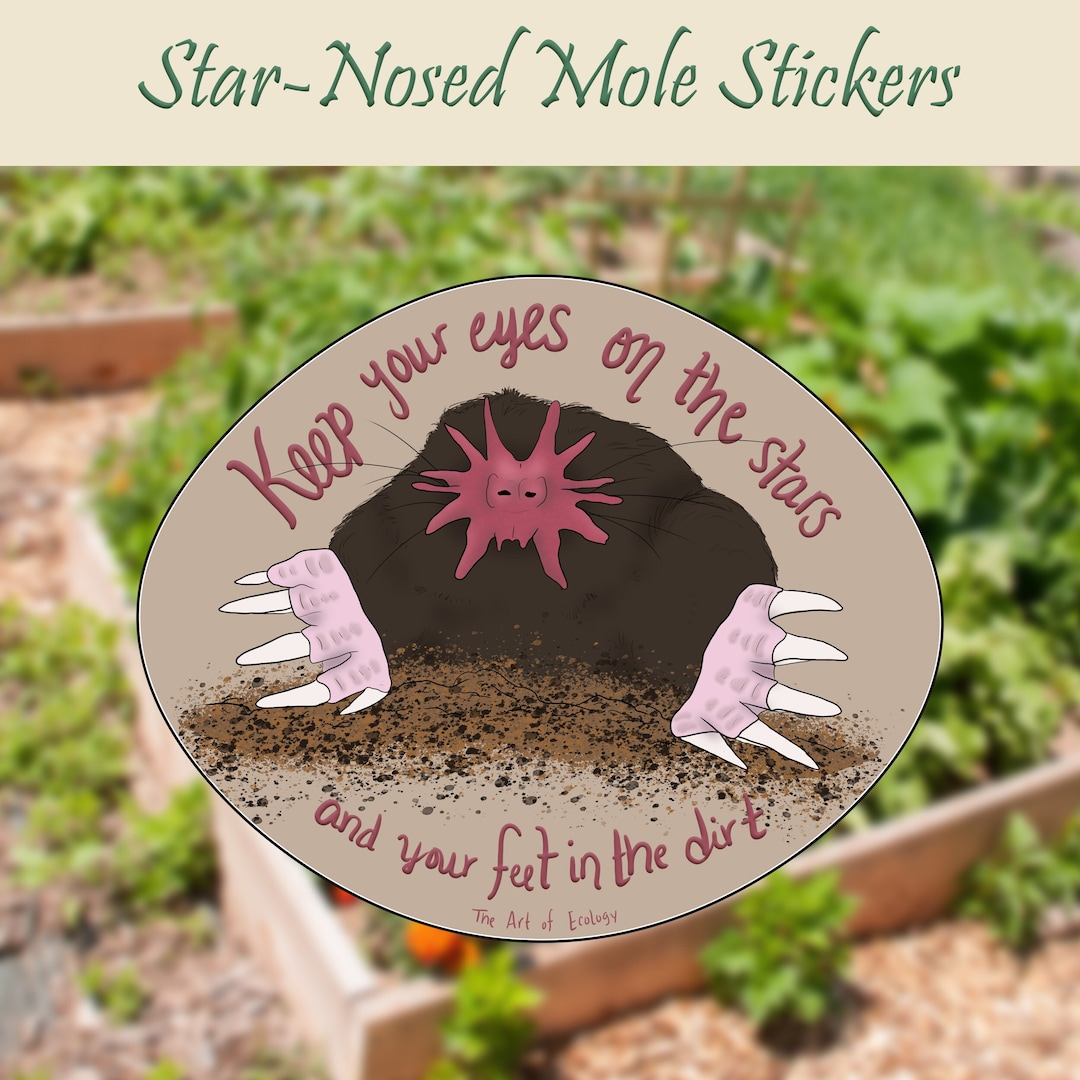 Star-nosed Mole Sticker: Waterproof Vinyl Wildlife Art - Etsy