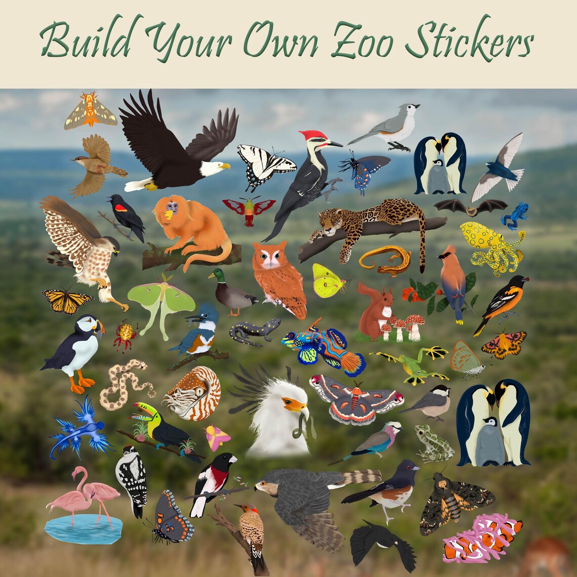 Build Your Own Zoo Sticker Set: Waterproof Vinyl Wildlife Decals - Etsy