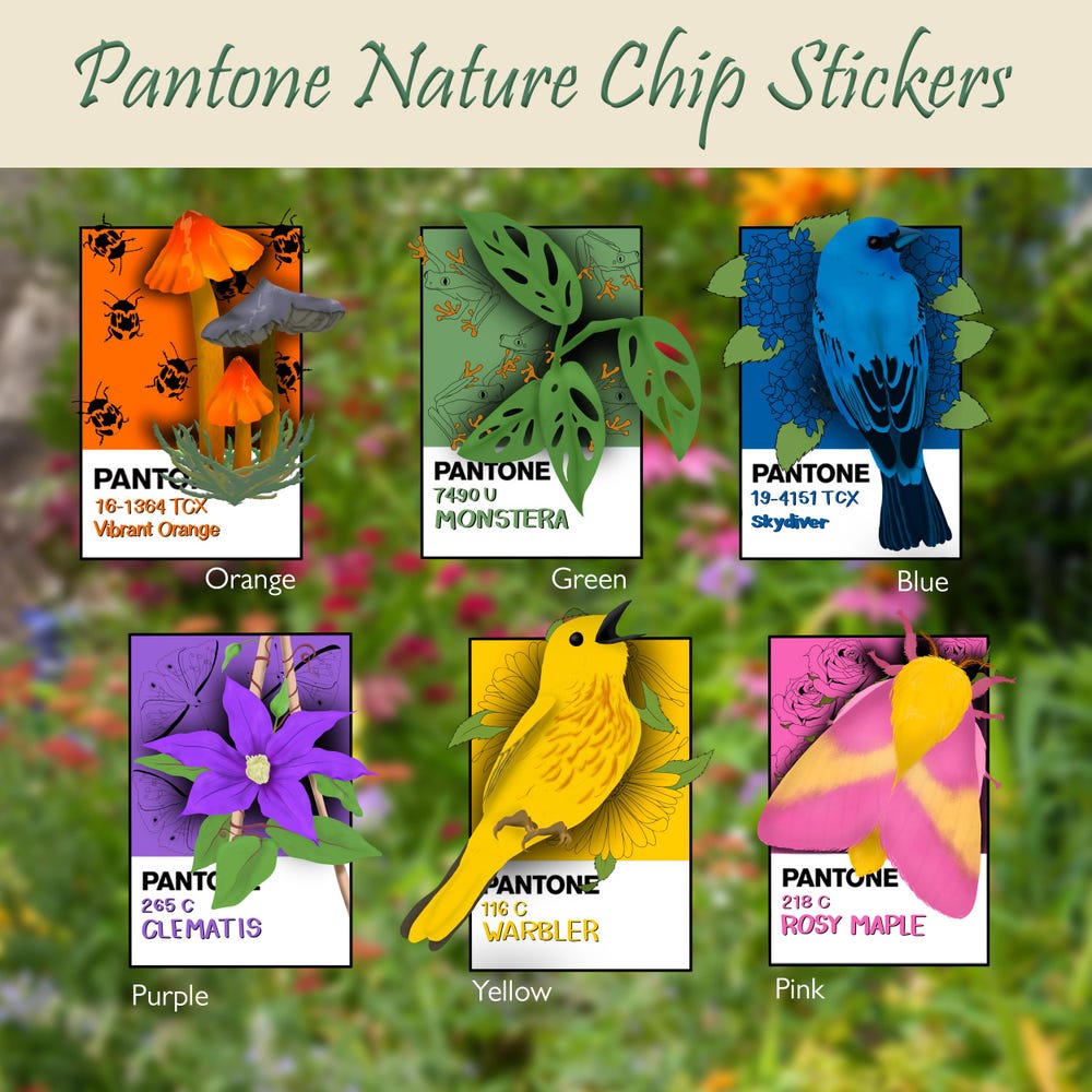 TheArtofEcology - Etsy