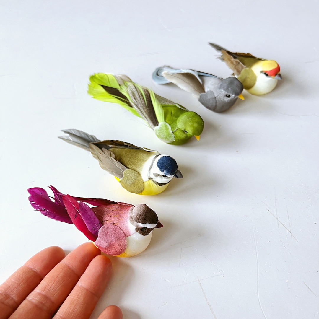 Artificial Paradise Bird: Tropical Nursery Decor, Cake Topper - Etsy