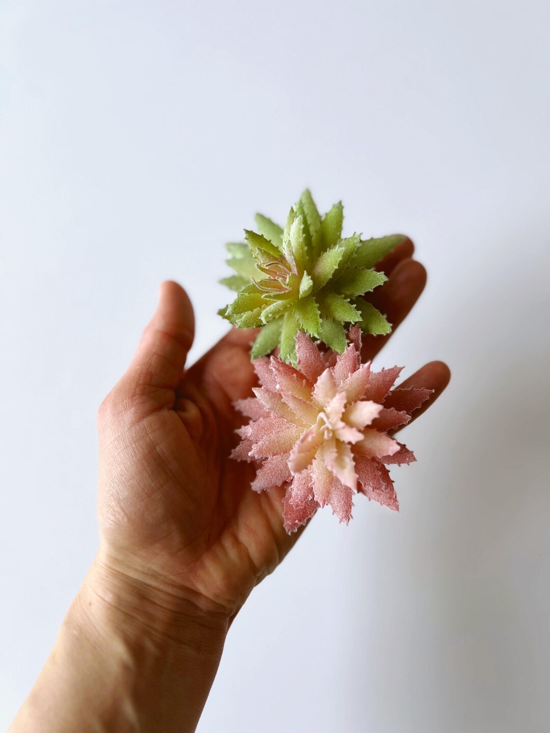 Frosted Succulent Terrarium Decor Faux Succulents 1 Piece 2 Tone ...