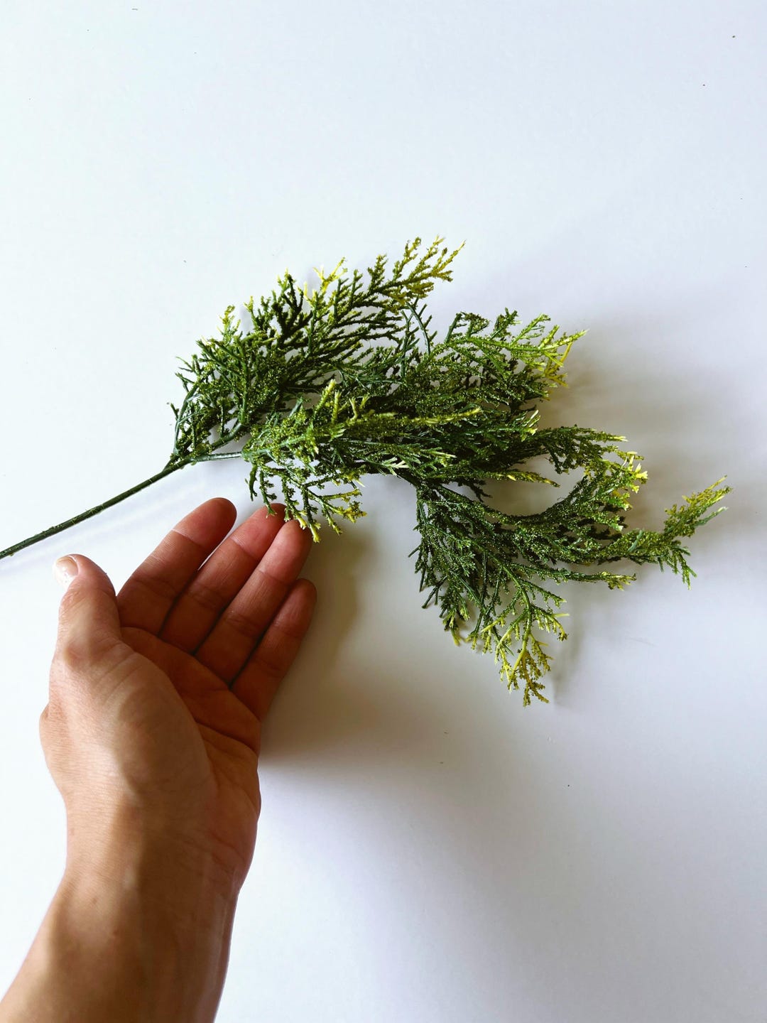 Artificial Thuja Bonsai Tree Twig Japanese Bonsai Exotic Faux Greenery ...