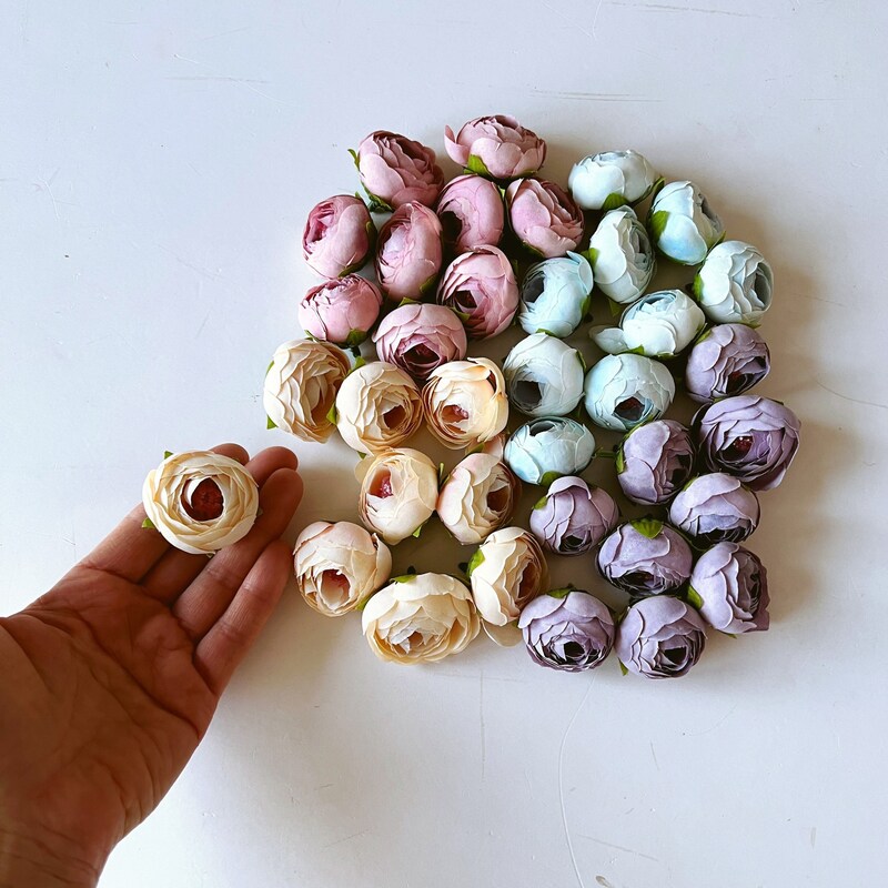 Mini Ranunculus - Etsy