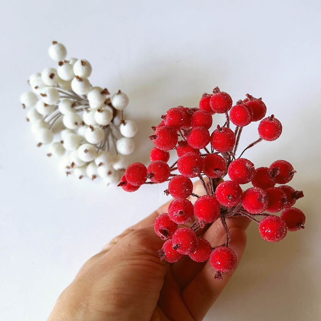 Faux Sugar Frosted Berries 15 Cm Double Berry Wires Decor - Etsy