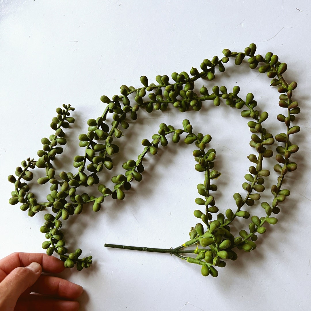 Artificial String of Pearls Succulent Hanging Sedum Pot - Etsy