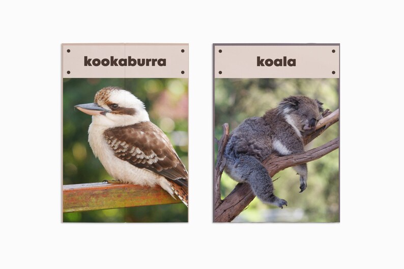 14 Australian Animal Posters A4 - Etsy