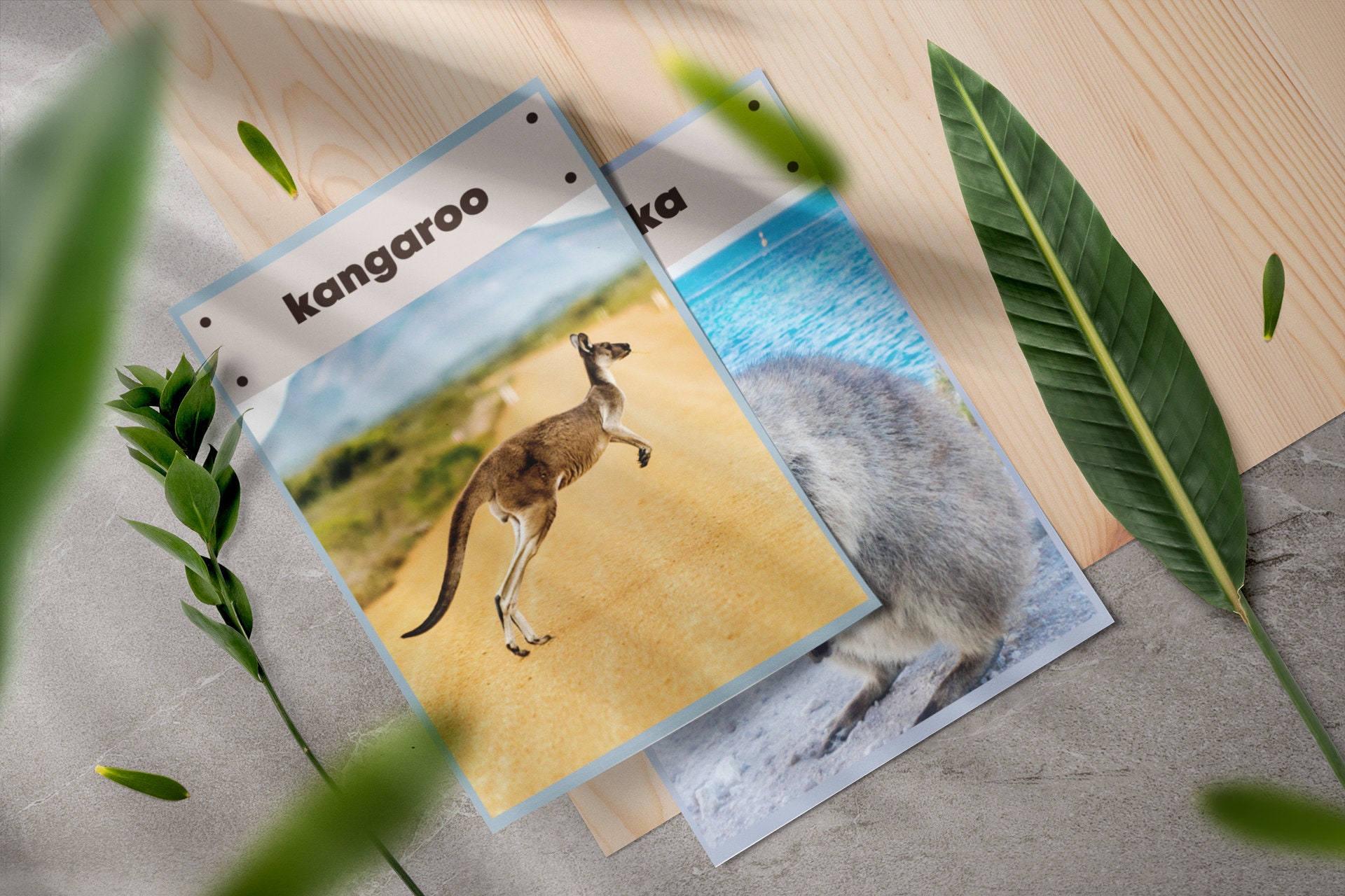 14 Australian Animal Posters A4 - Etsy