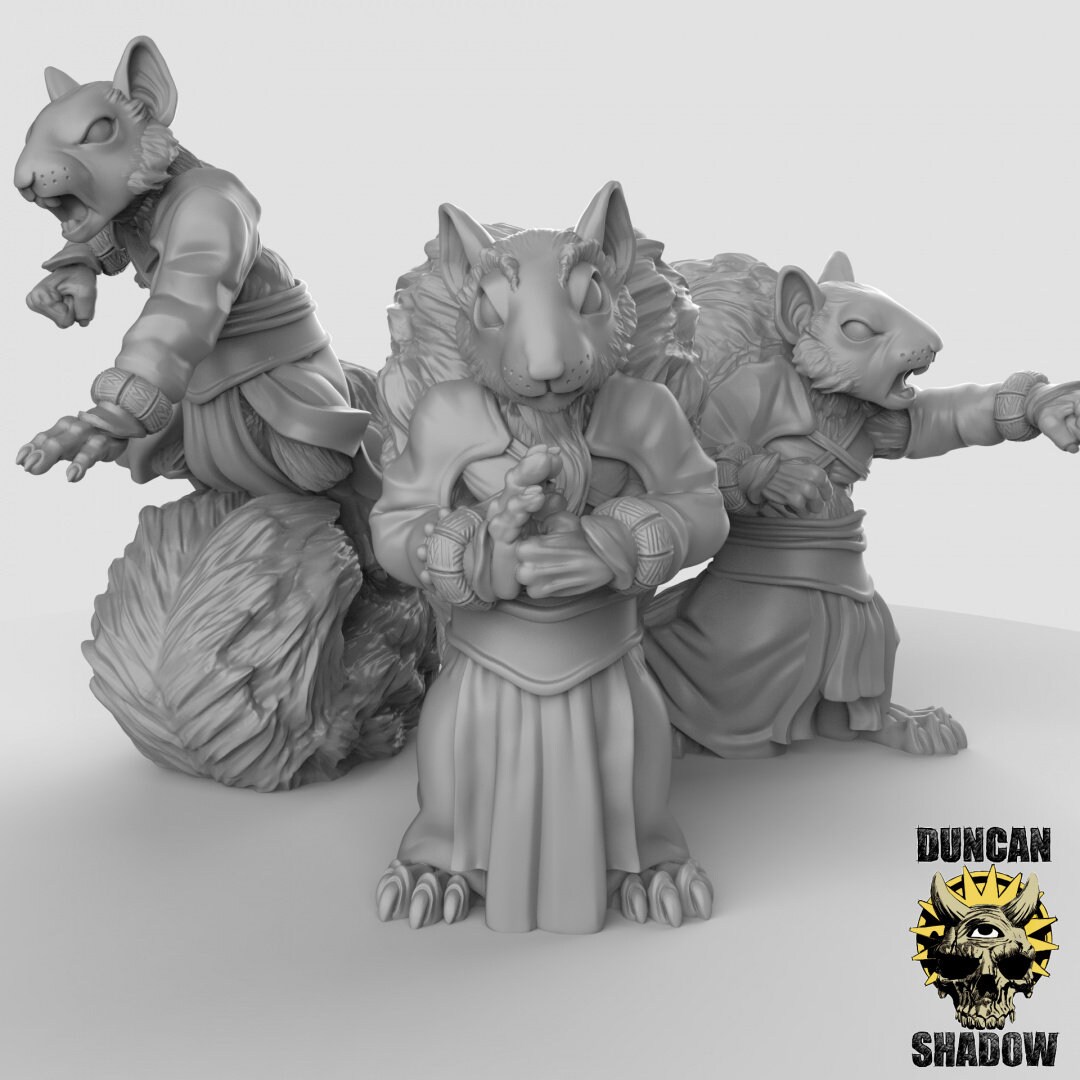 Squirrel Folk, Squirrel Monk2 Miniature by Duncan Shadow Dnd, Dungeon ...
