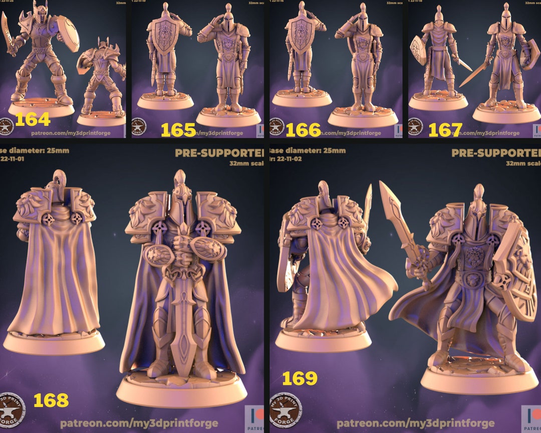Human Guards Templar/ Paladin/ Warrior Set 2, by My3dprintforge Dnd ...