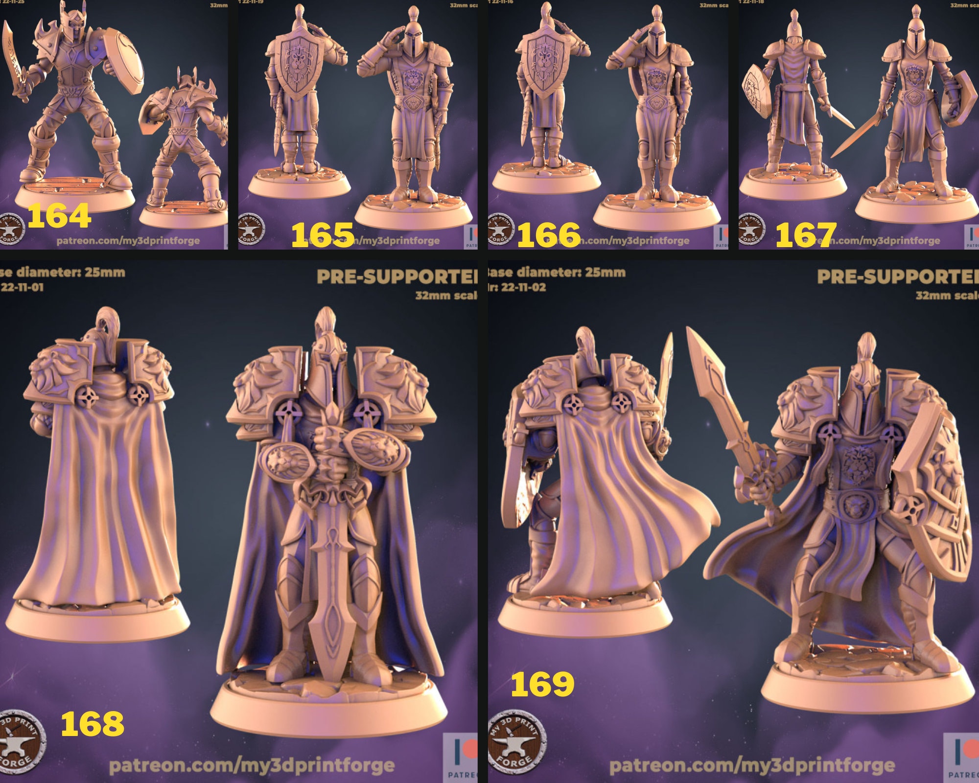 Human Guards Templar/ Paladin/ Warrior Set 2, by My3dprintforge Dnd ...