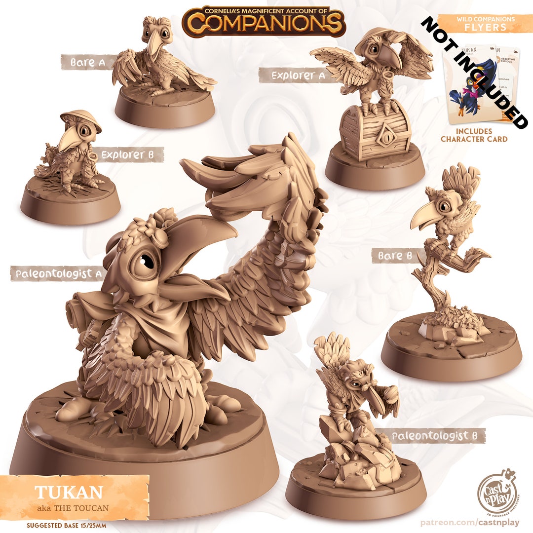 Toucan Companion Miniature | Tabletop RPG, 28/32mm Scale - Etsy