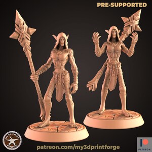 High Elf Wizard / Warlock, by My3dprintforge Dnd, Dungeon and Dragon ...