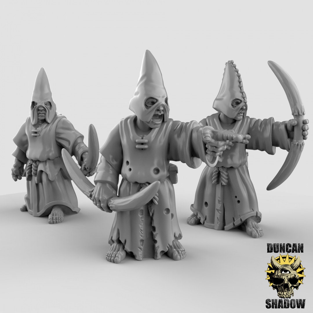 Cultist, Cult Miniature Set 1 Miniatures by Duncan Shadow Dnd, Dungeon ...