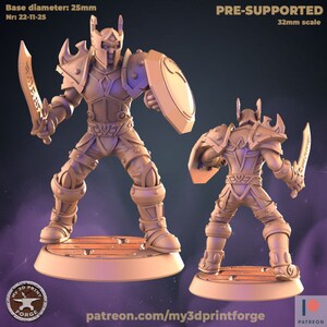 Human Guards Templar/ Paladin/ Warrior Set 2, by My3dprintforge Dnd ...