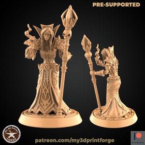 Undead Warlock , Female Warlock Miniature by My3dprintforge Dnd ...