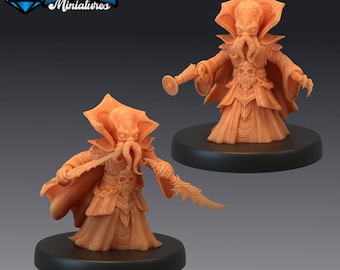 Gnome Ceremorph - Etsy