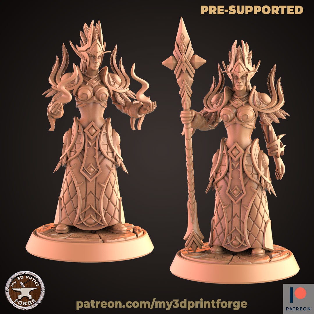 High Elf Wizard / Warlock / Druid, by My3dprintforge Dnd, Dungeon and ...