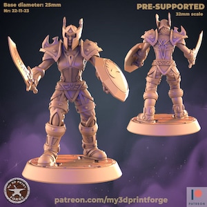 Human Guards Templar/ Paladin/ Warrior, by My3dprintforge Dnd, Dungeon ...