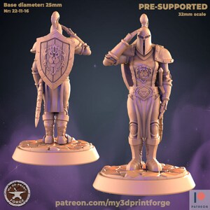 Human Guards Templar/ Paladin/ Warrior Set 2, by My3dprintforge Dnd ...