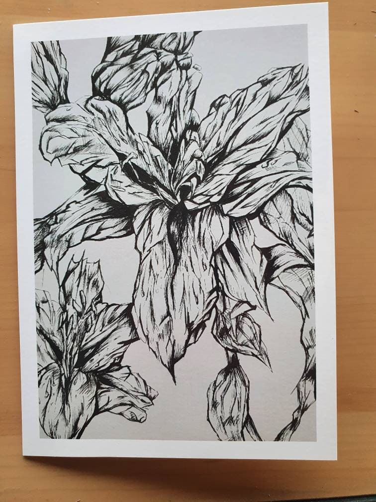 Pen and Ink Flower Card. - Etsy