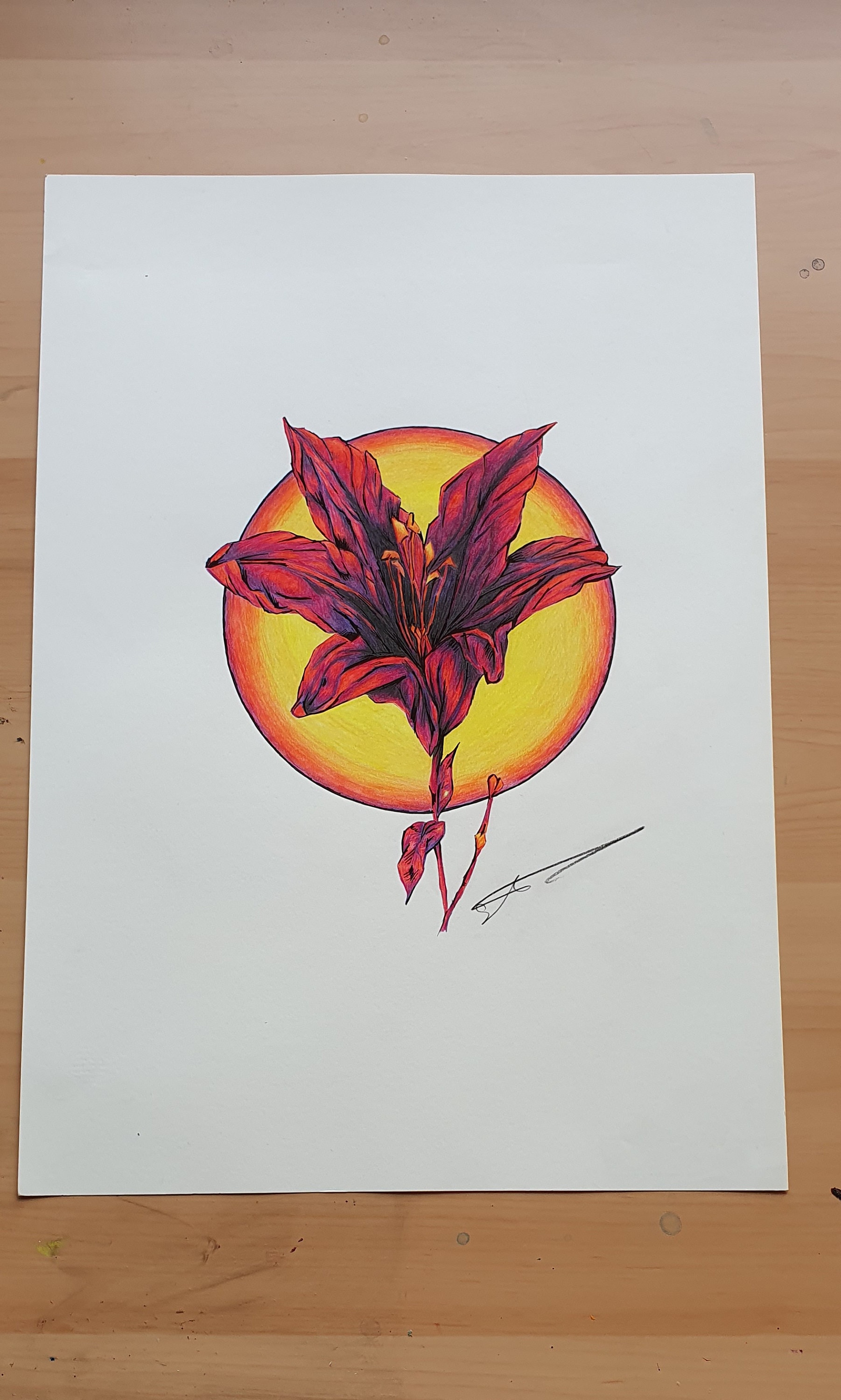 ORIGINAL PENCIL DRAWING, Flower Picture, Botanical Wall Art, Colour ...