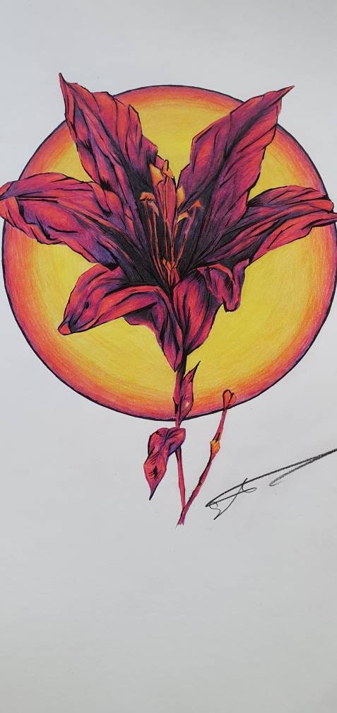 ORIGINAL PENCIL DRAWING, Flower Picture, Botanical Wall Art, Colour ...