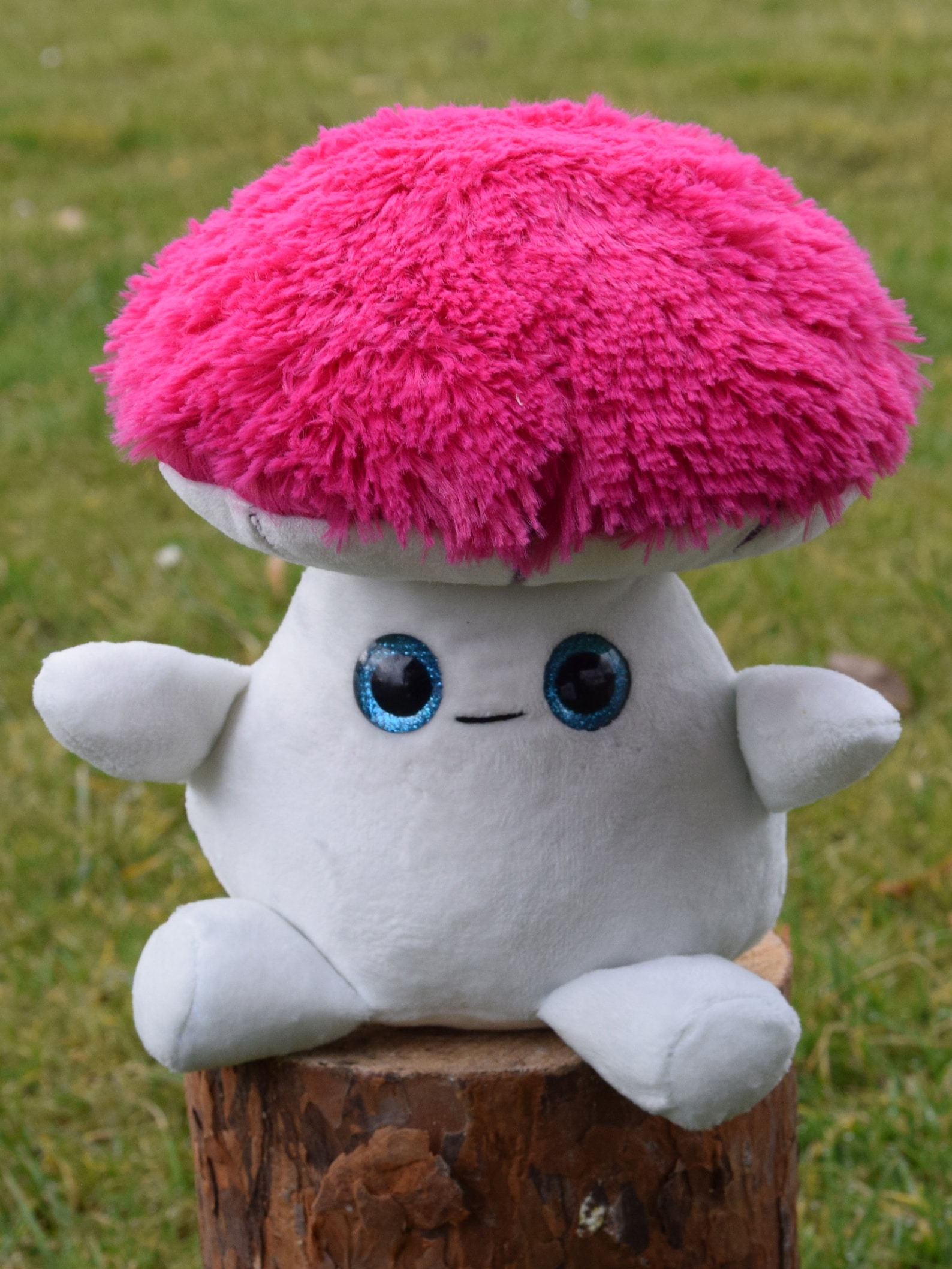 Mushroom Fungi Plushie SEWING PATTERN PDF Instant Download - Etsy