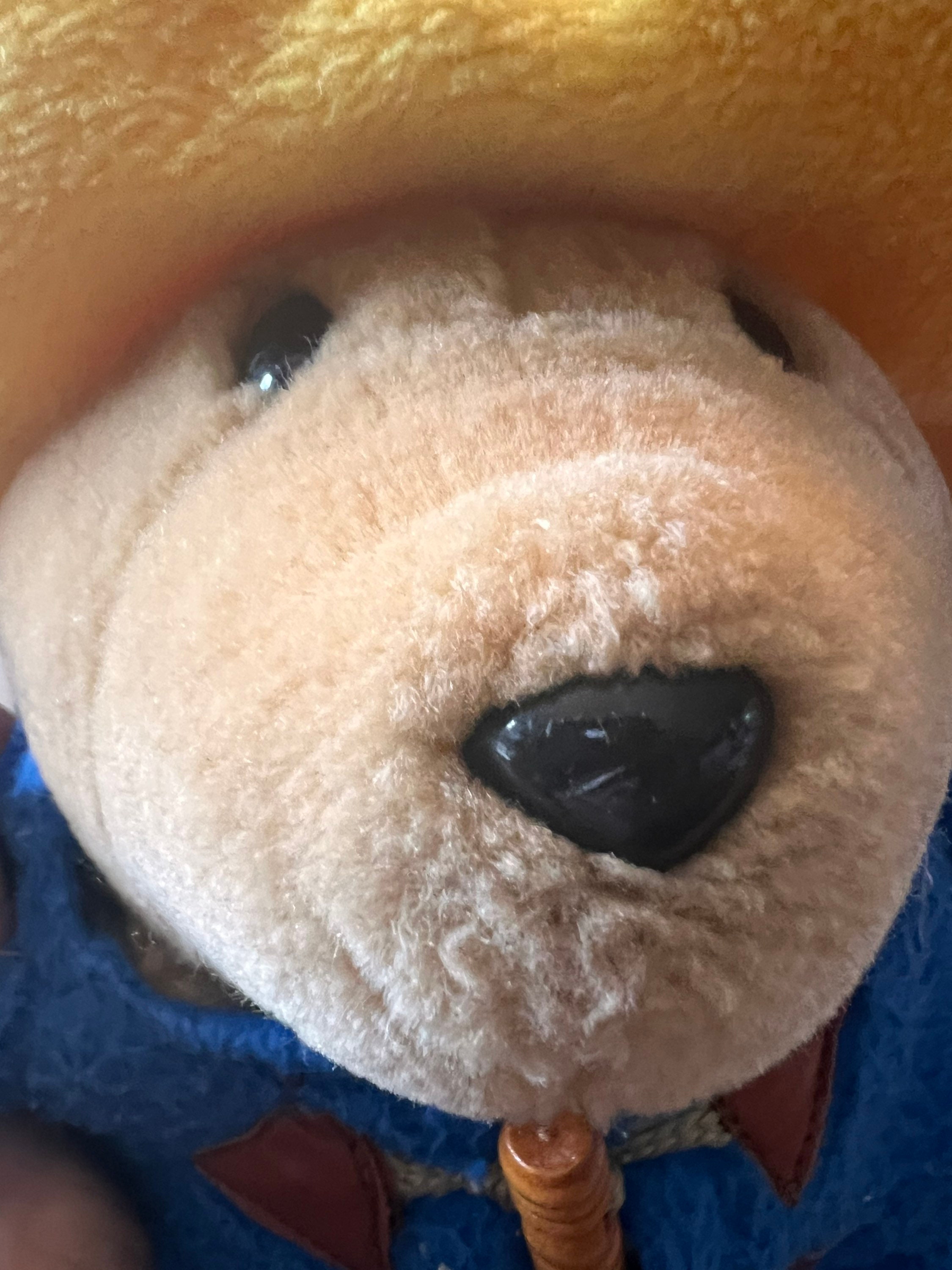 Musical PADDINGTON BEAR Stuffed Plush Eden Toys With Tags - Etsy