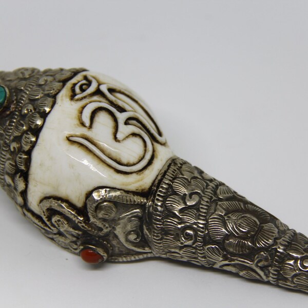Nepal Conch Shell - Etsy