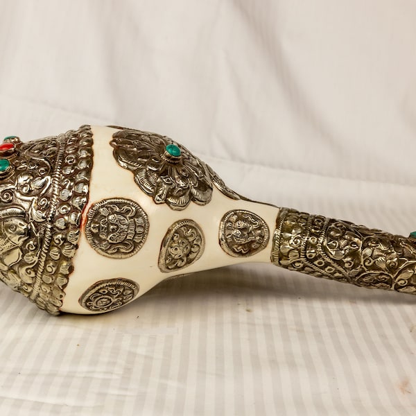 Nepal Conch Shell - Etsy
