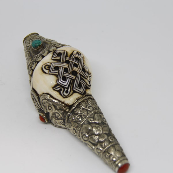 Nepal Conch Shell - Etsy