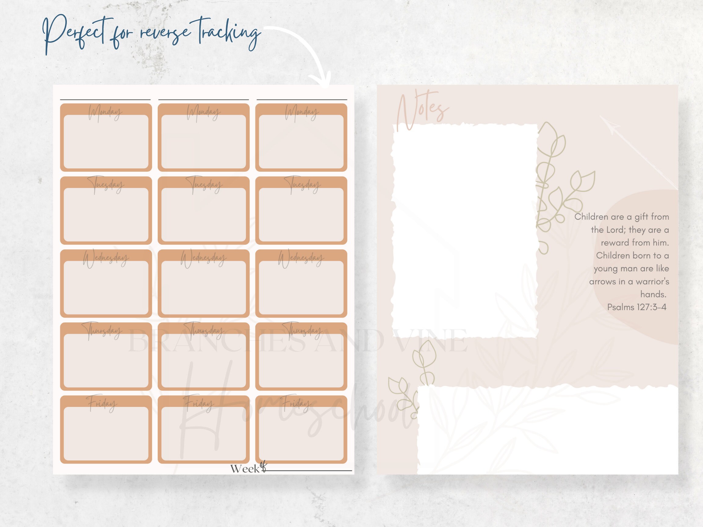 Minimalist Essential Homeschool Planner in Pink | Etsy