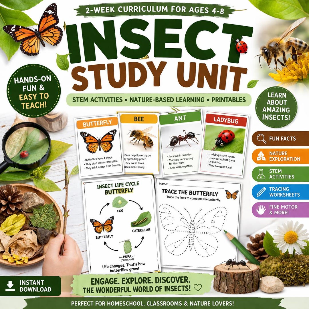 Insect Study Unit - Stem Ages 4-8 - Etsy