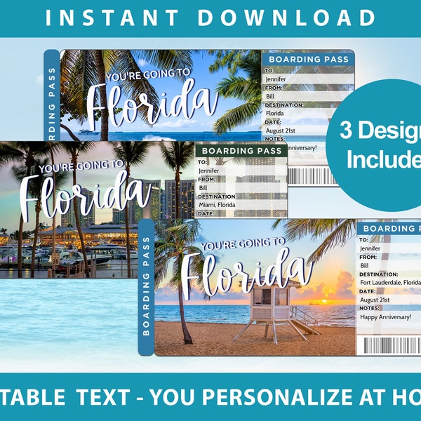 Florida Trip Ticket - Etsy