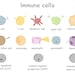 Immune Cell Posters - Etsy