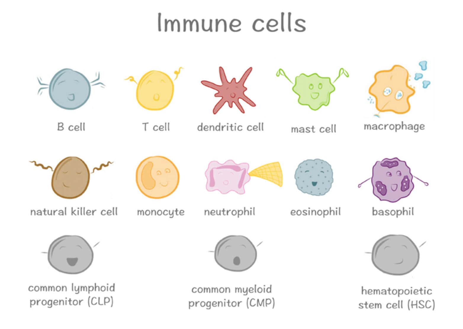 Immune Cell Posters - Etsy