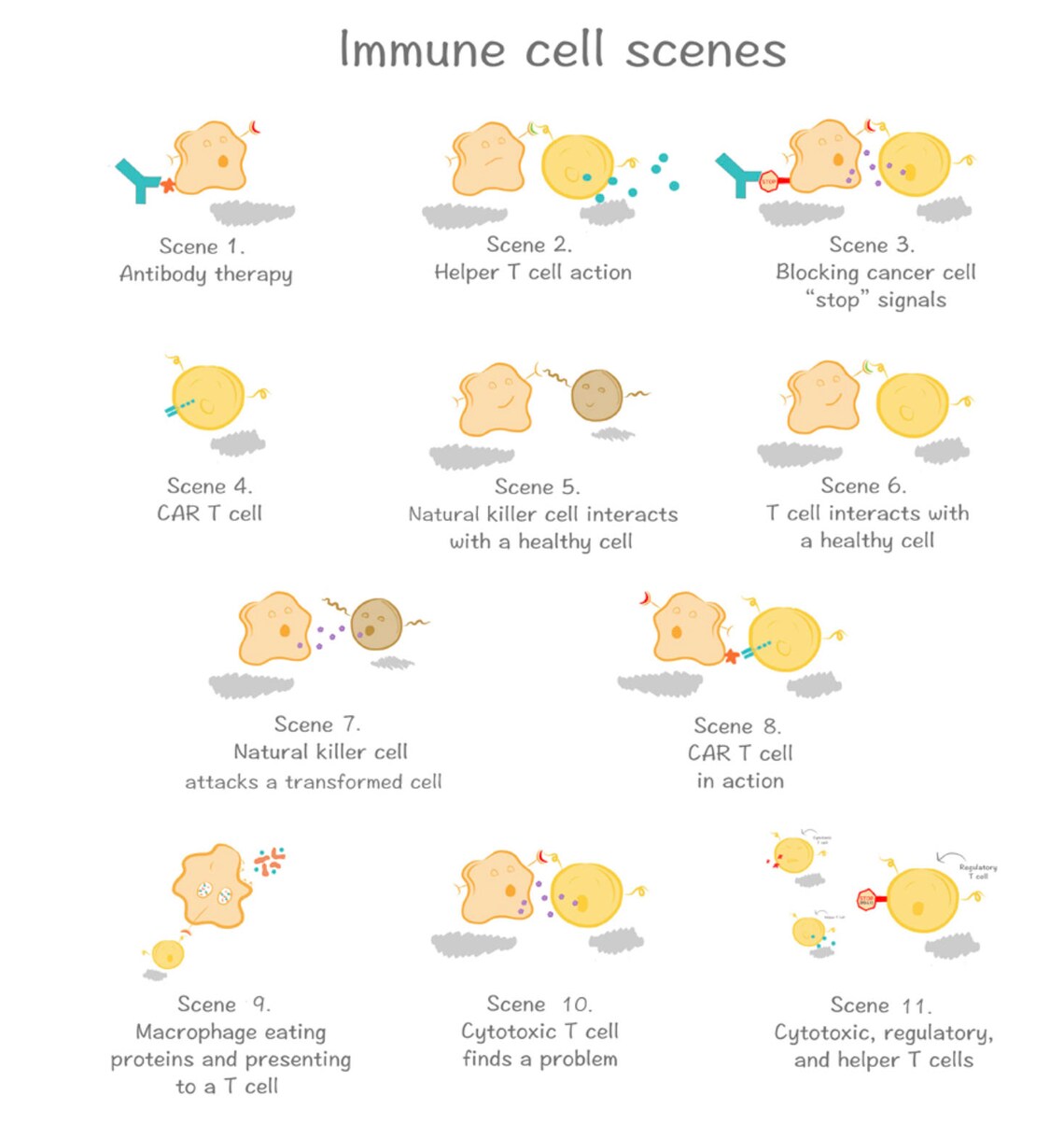Immune Cell Posters - Etsy